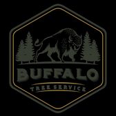 Buffalo tree service. General Contractor - Buffalo, NY. Projects ...